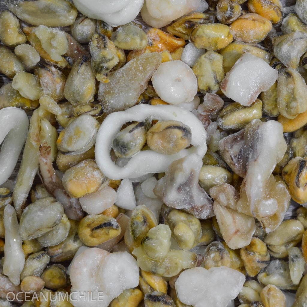Mariscos Congelados - Oceanum Chile
