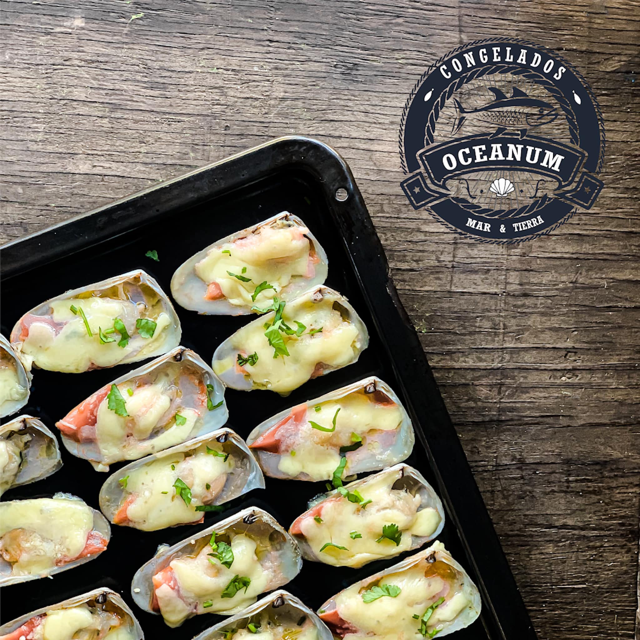 Mariscos – Oceanum Chile